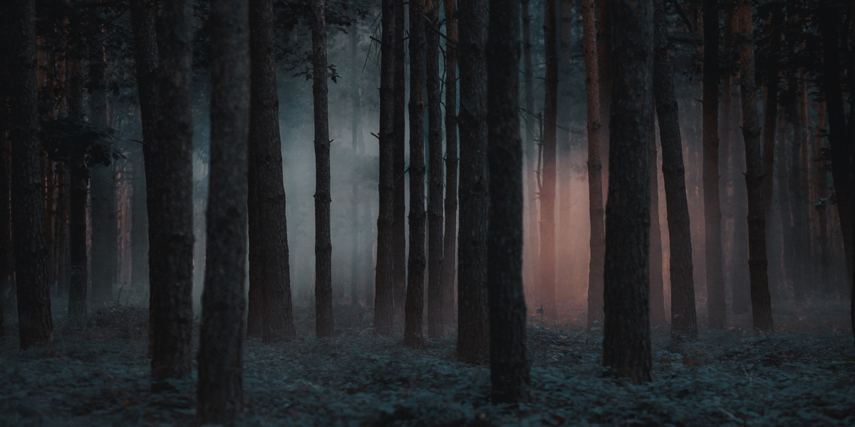 A Lynching, A Lie, A Reckoning: Investigating Family With Grace Elizabeth Hale | Novel Suspects