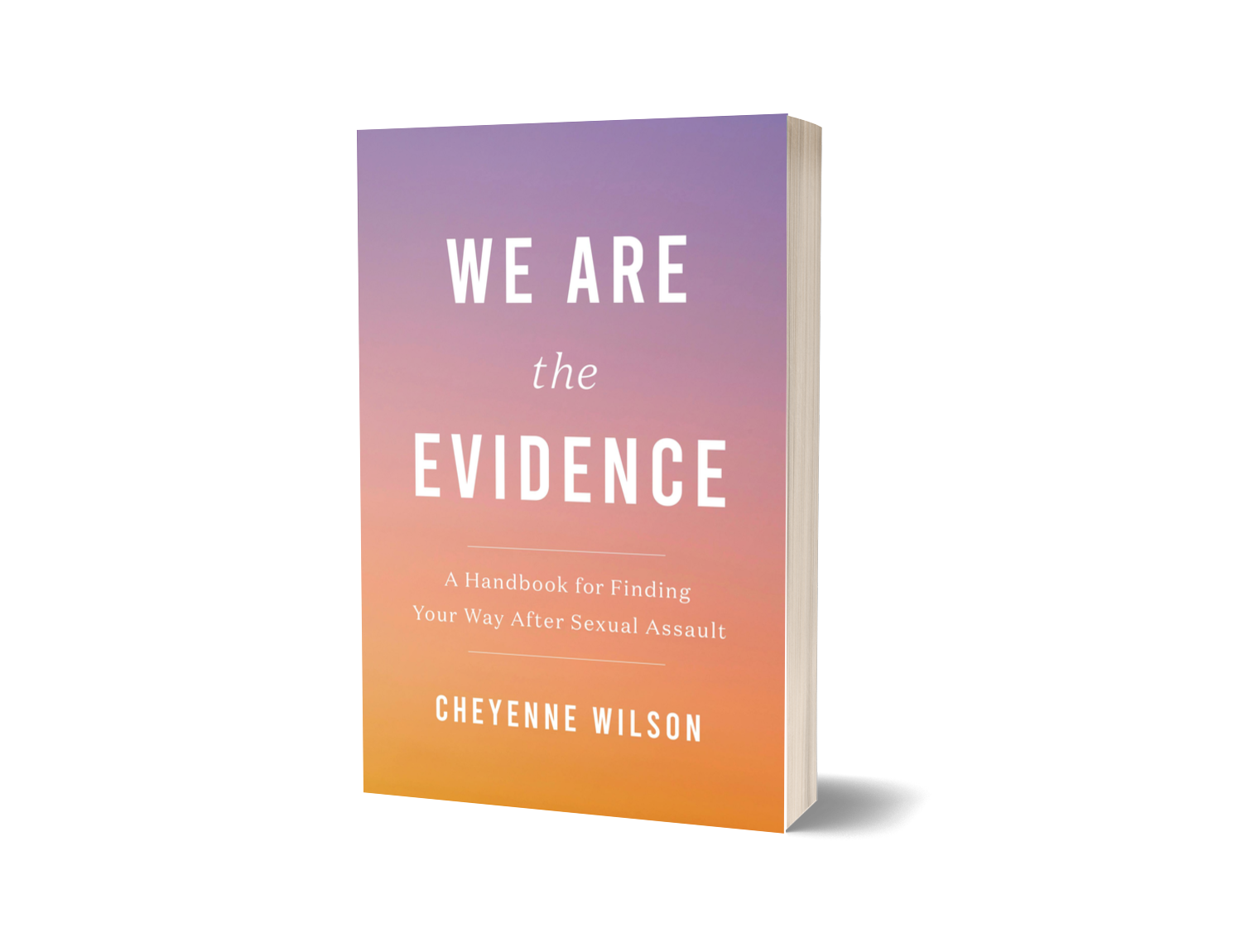 WE ARE THE EVIDENCE / Table of Contents & Excerpt | Novel Suspects