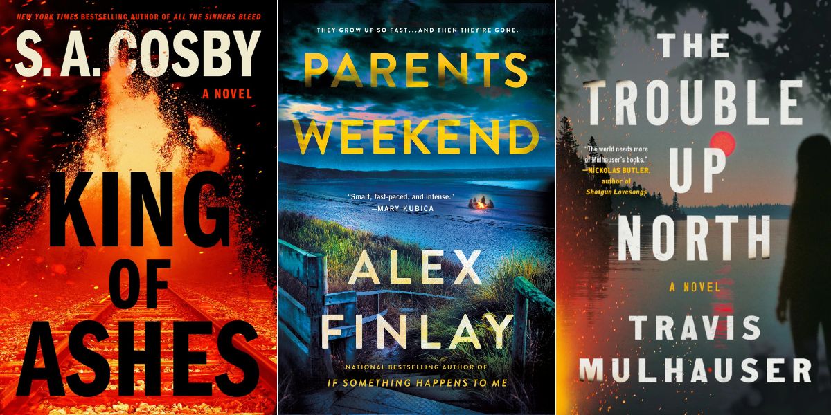 Lies, Loyalties, and Loved Ones: Where Family Meets Mystery | Novel ...